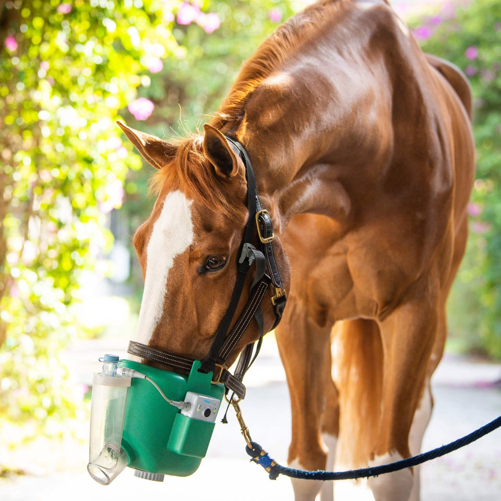 Flexineb Shop Flexineb E3 Portable Equine Nebulizer Complete System